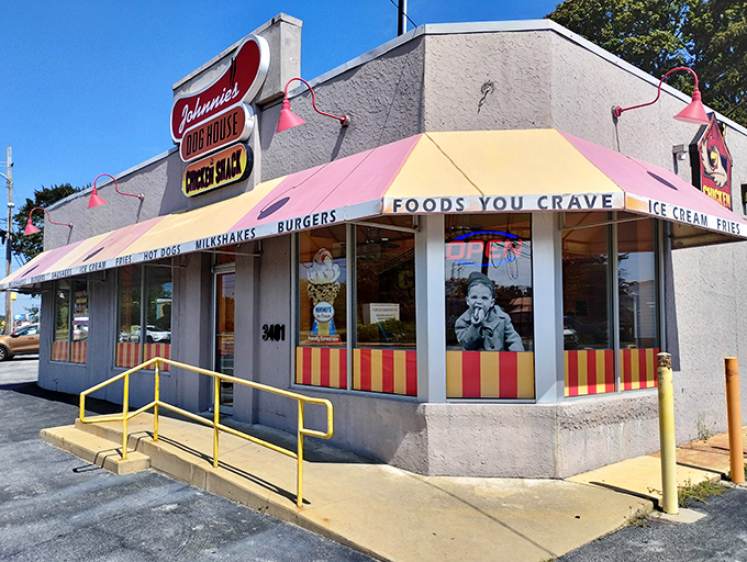 That pink and yellow combo screams "fun" louder than a carnival barker - and the dogs deliver on the promise.