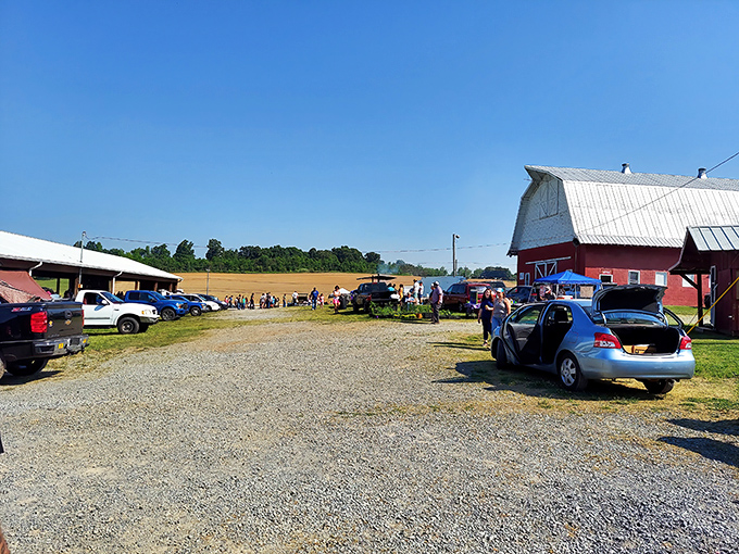 Red barns and gravel lots create the perfect country setting for discovering yesterday's forgotten gems today.