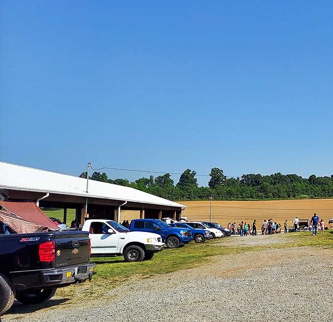 Nothing says "serious flea market business" like a building that could house a small airplane.