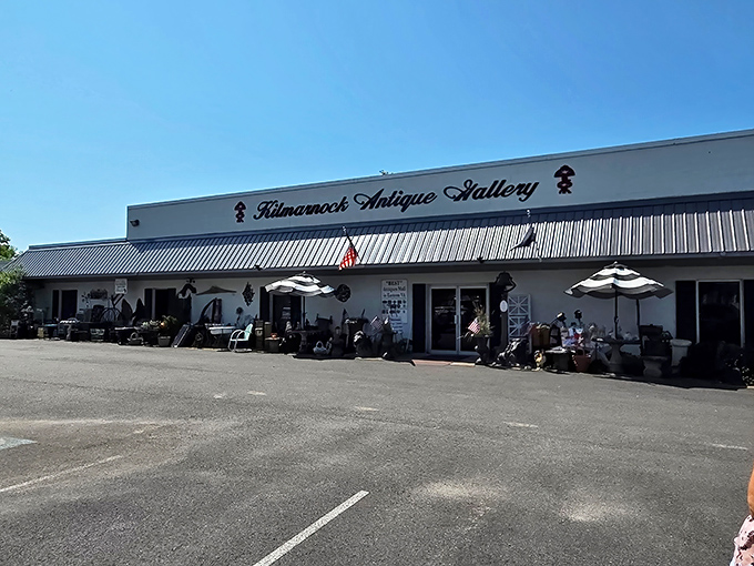 Kilmarnock Antique Gallery stands proudly under blue skies, promising adventures in history without the dusty textbooks.