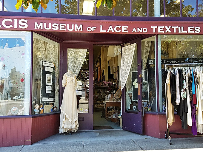 Delicate lace displays that prove our grandmothers were basically textile wizards with infinite patience.