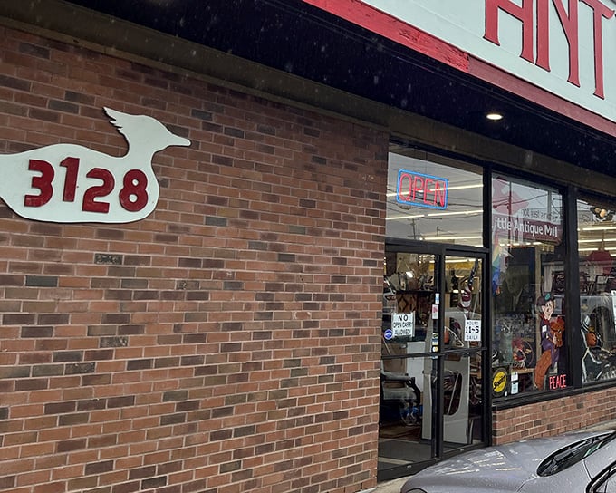 Don't judge this book by its brick cover - inside lies a compact universe of coastal treasures and vintage finds.