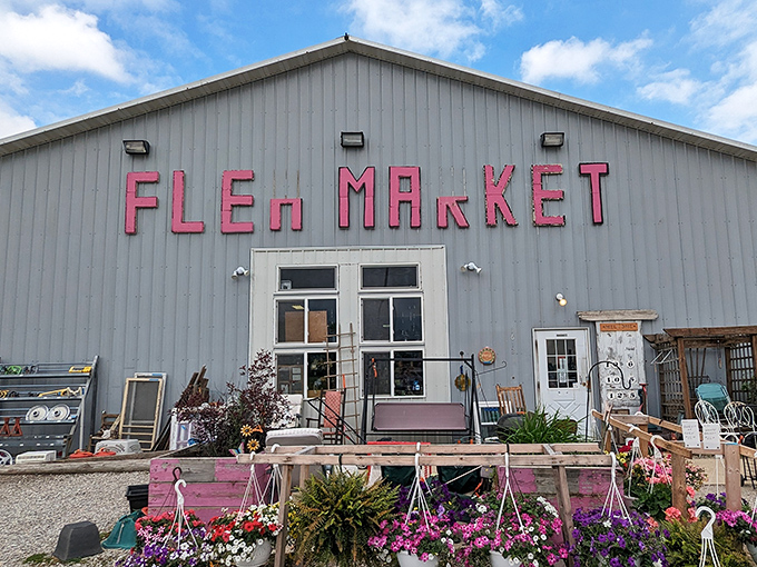 Those cheerful pink letters practically sing "welcome home" like your favorite sitcom opening credits.