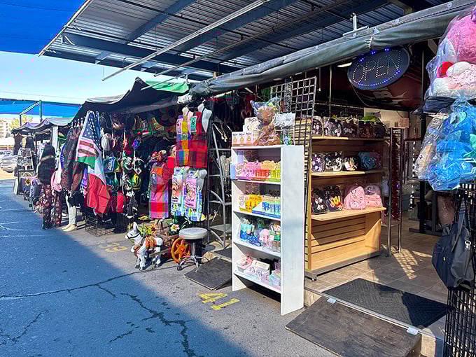 Bargain city under blue skies! Phoenix Park 'n Swap transforms everyday shopping into a festive outdoor adventure.