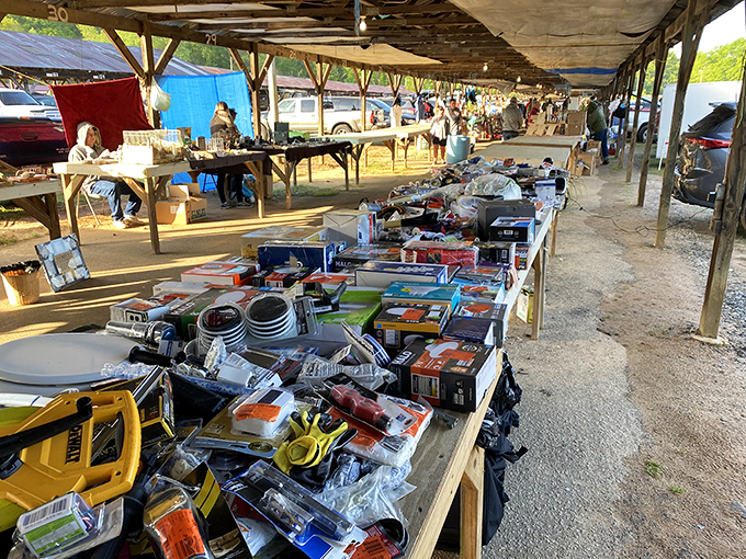 Pickens County Flea Market spreads its outdoor treasures under blue skies, where every table holds potential golden discoveries.