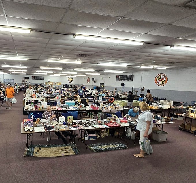 Indoor comfort meets serious treasure hunting as fluorescent lights illuminate endless rows of possibilities.