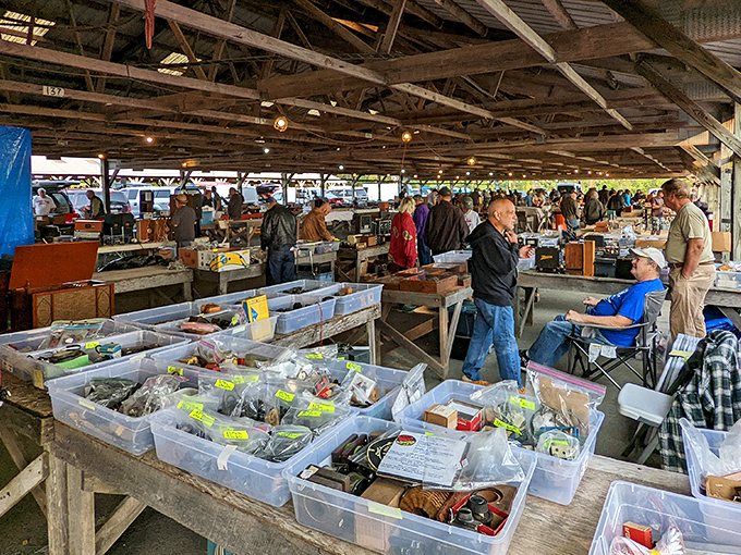 Treasure hunters scan plastic bins like archaeologists at the world's most organized dig site. One person's junk drawer is another's museum piece!