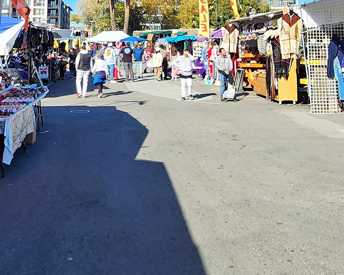 Treasure island under canvas! Rose Bowl shoppers navigate a sea of white tents where yesterday's castoffs become tomorrow's conversation pieces.