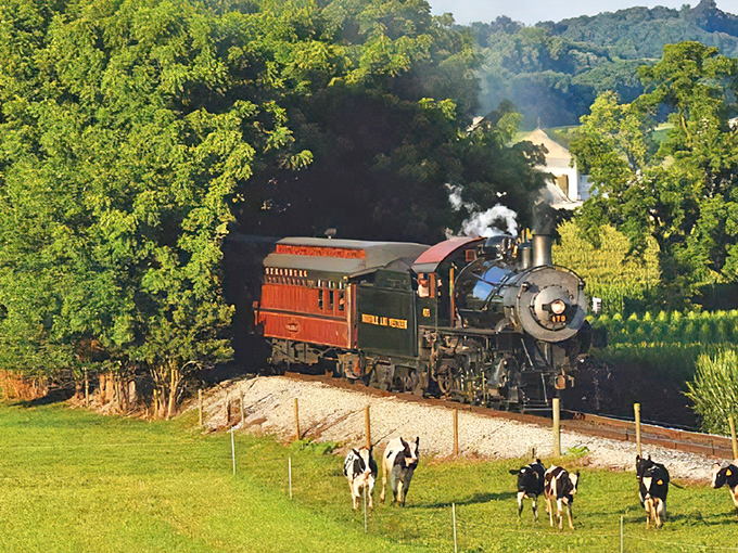 All aboard! This vintage steam engine chugs through Amish farmland like a scene from yesteryear.