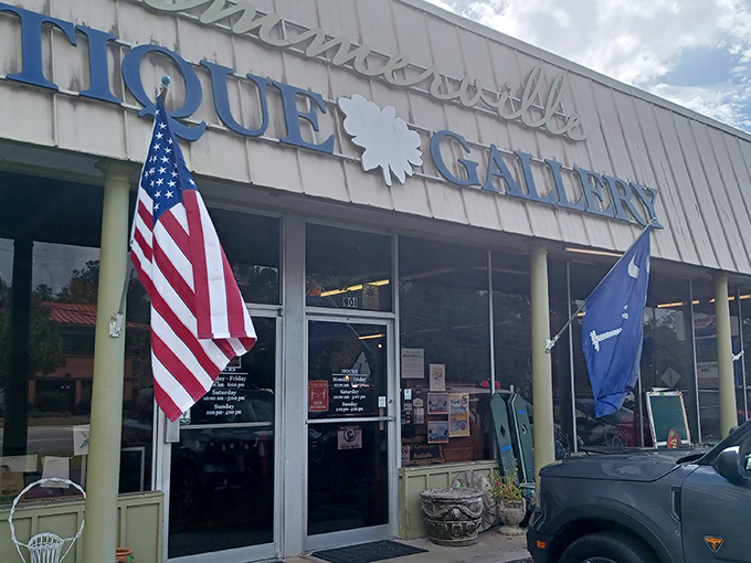Stars and stripes wave proudly over Summerville's treasure trove - patriotism meets vintage perfection here.
