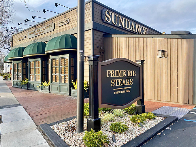 Modern rustic meets carnivore paradise - where Silicon Valley power lunches get their sizzle and substance.