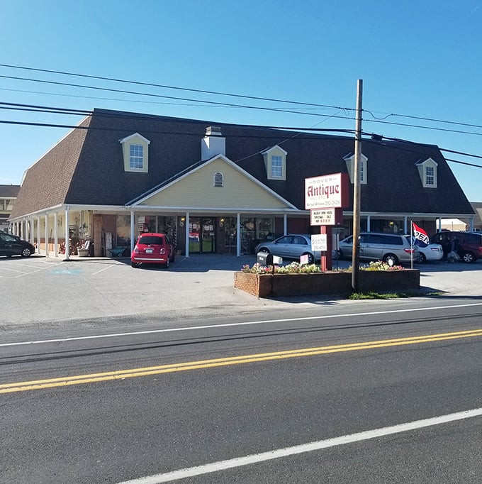 Don't judge this book by its cover - inside lies a wonderland of vintage treasures.