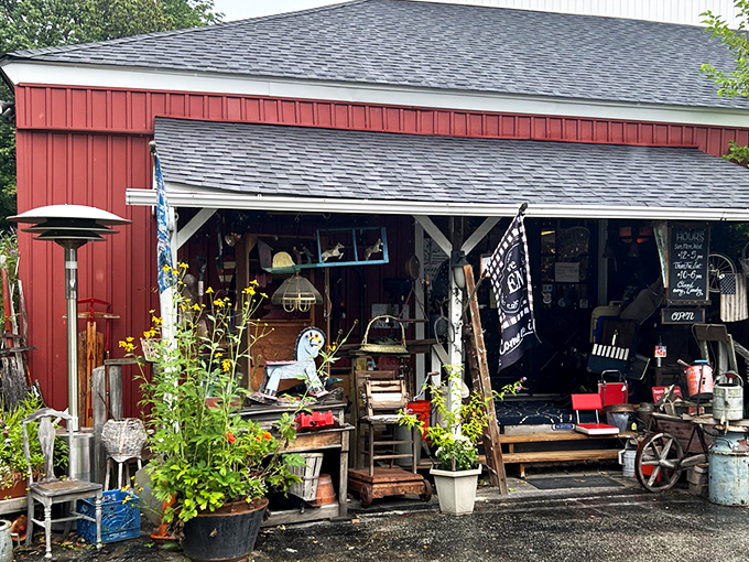 That red barn practically screams "come explore!" - and trust me, you'll want to answer that call.