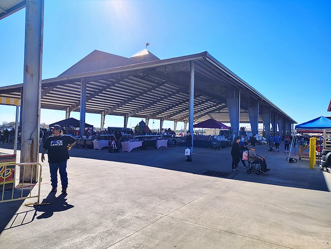 That covered pavilion is like a treasure hunter's cathedral, protecting bargains from the elements while you browse.