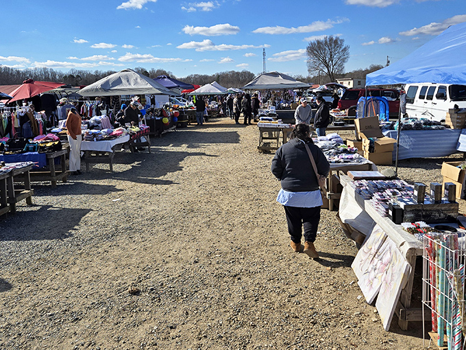 Webb Road Flea Market buzzes with activity as shoppers discover amazing finds under the open sky.