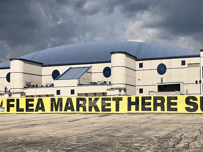 When Chicago weather turns nasty, this massive indoor wonderland keeps the treasure hunting going strong.