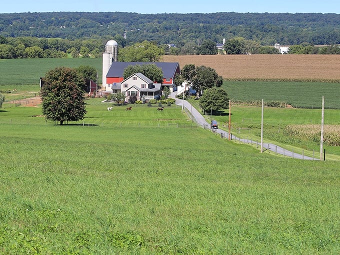 Rolling hills stretch endlessly here, creating a patchwork quilt of emerald fields that would make any landscape photographer weep.