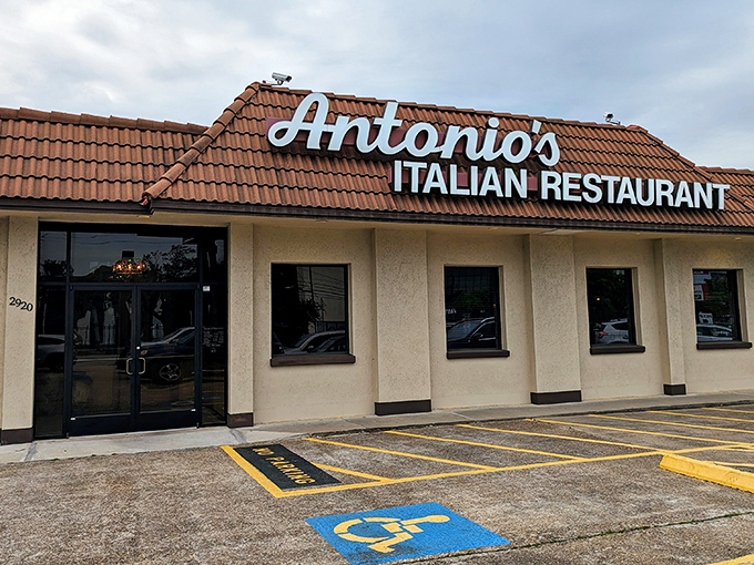 Sometimes the best treasures hide behind the most unassuming storefronts you'll find.