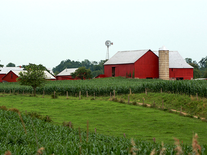Red barns dot the landscape like punctuation marks in nature's perfect sentence of rural tranquility.