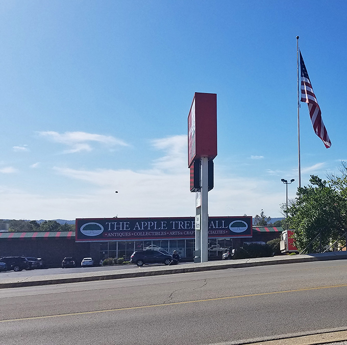 From this angle, you can almost feel the excitement building as treasure seekers prepare for their shopping adventure.