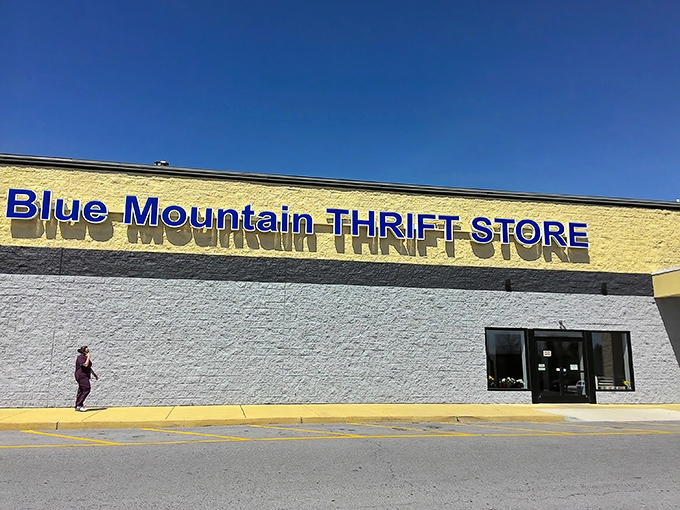 Sunlight gleams off Blue Mountain's fa&ccedil;ade, beckoning thrift enthusiasts. Inside, someone's discarded lamp is about to become your living room's conversation piece.
