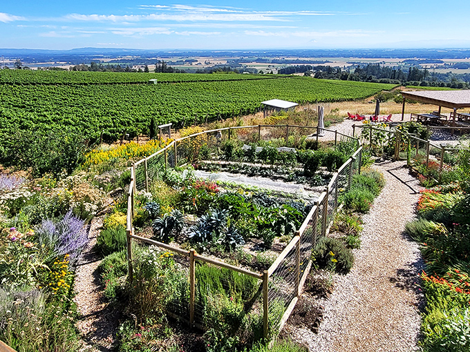 Farm-to-table gardens flourish beside vineyard rows, creating a feast for both eyes and palate.
