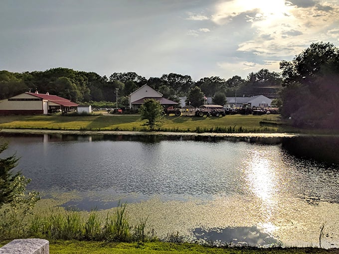 Golden hour magic dances across Canterbury's farm pond &ndash; proof that million-dollar views come with small-town price tags that won't drain your retirement fund.
