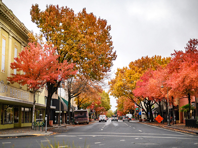 When autumn paints the town gold and crimson, Chico's tree-canopied streets become nature's own Main Street masterpiece.
