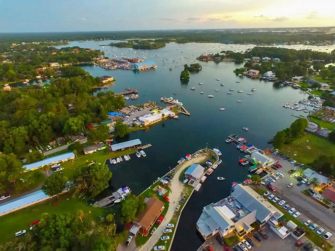 The Homosassa River winds through pristine wilderness where manatees vacation and humans find their happy place.