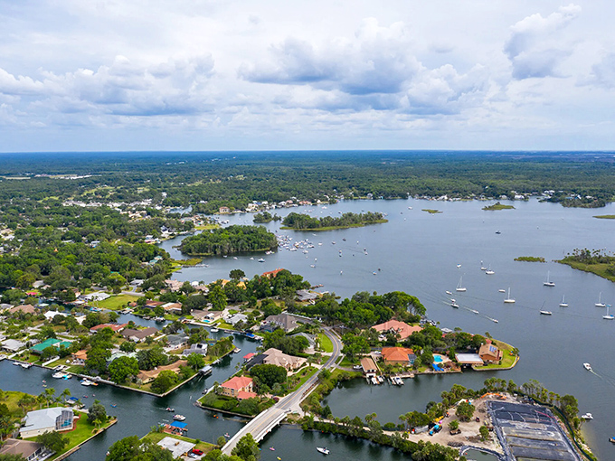 Nature's masterpiece unfolds as Crystal River winds through landscapes that seem painted by Florida's finest artist.