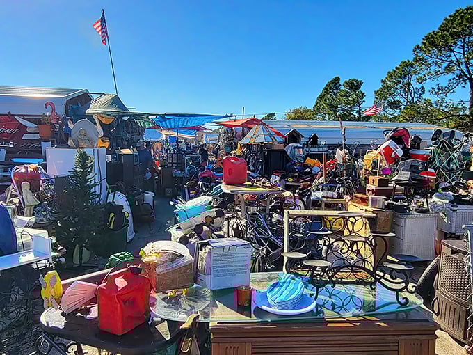 The organized chaos of endless possibilities stretches before you like a bargain hunter's dream come true.