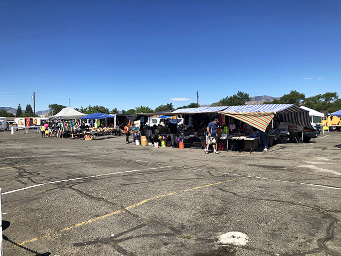 El Rancho's open-air marketplace buzzes with activity under that big Nevada sky. Bring sunscreen and your bargaining skills!
