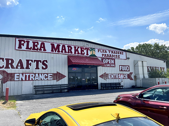 Indoor treasure hunting at its finest - no weather worries, just pure browsing bliss ahead.