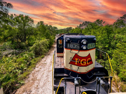6 Incredibly Scenic Train Rides In Florida That Most People Don't Know ...