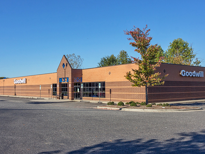 Sunlight gleams off the Goodwill storefront, beckoning bargain hunters like a lighthouse for the thrift-obsessed.