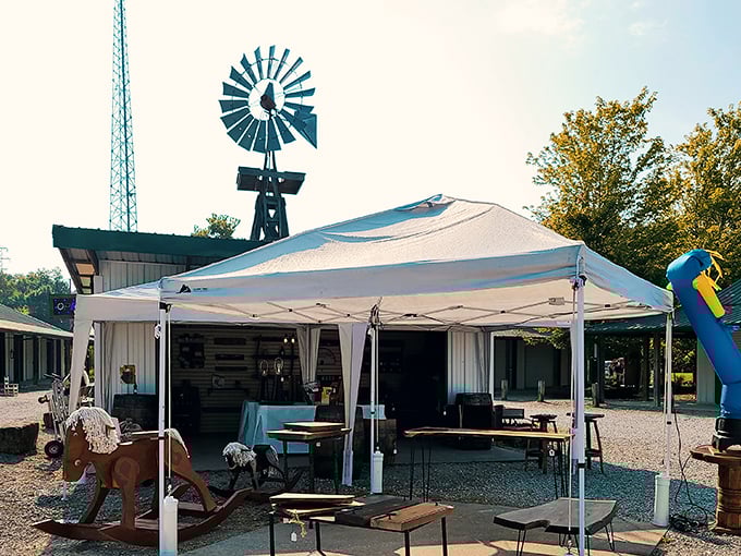 That classic windmill backdrop makes every find feel like a scene from American Pickers, doesn't it?