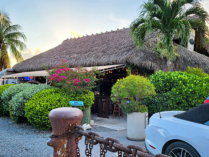 The kind of place Jimmy Buffett would write songs about &ndash; rustic, real, and serving seafood that'll make you consider moving to the Keys.