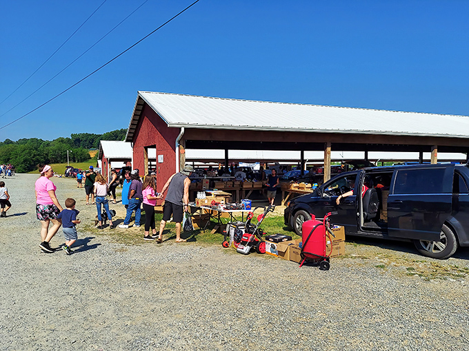 Families gather under open skies where every table holds potential treasures waiting for new homes.
