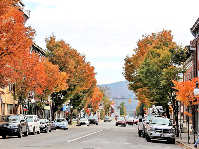 Fall in Lock Haven paints the streets with nature's confetti &ndash; those trees are putting on a show worthy of Broadway!