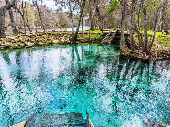 "Crystal clarity that would make a diamond jealous. This spring is so pristine you could read yesterday's newspaper through 20 feet of water."