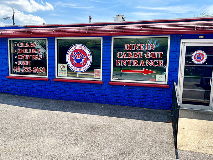 Sometimes the best seafood joints announce themselves loudly - and this red, white, and blue beauty delivers on every promise.