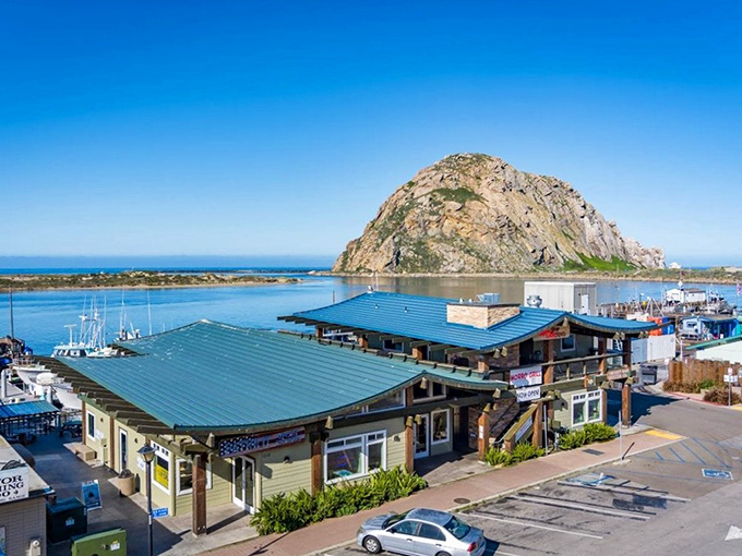 Morro Rock stands guard like a gentle giant while boats dance in the harbor below.
