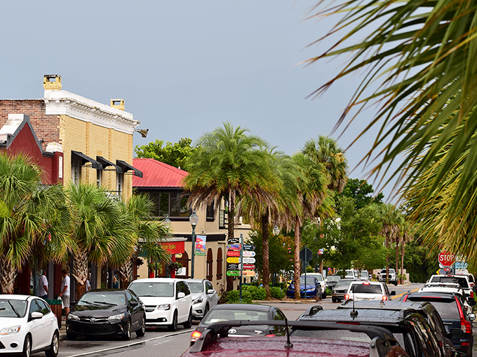 Palm trees standing guard over Mt. Dora's charming streets like nature's own concierge service&mdash;"Welcome to paradise, how may we shade you?"