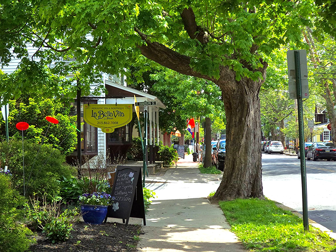 Stroll through New Hope's tree-lined streets where every corner promises another delightful discovery.