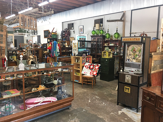 Every corner holds surprises, from old radios to forgotten kitchen gadgets with stories.