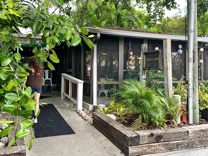 This weathered entrance whispers "authentic Florida" louder than any tourist trap could ever shout about freshness.