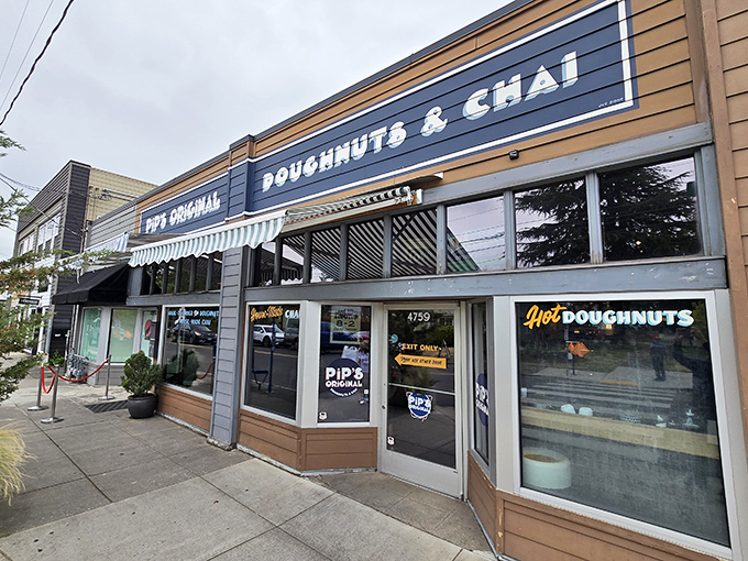 This cozy blue-and-wood exterior houses Portland's beloved mini-donut haven, where chai and warm donuts create perfect harmony.