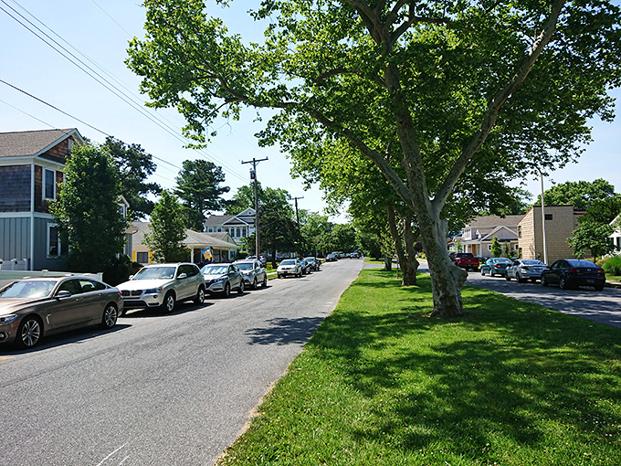 Quiet streets whisper promises of peaceful days and neighbors who still wave from porches.