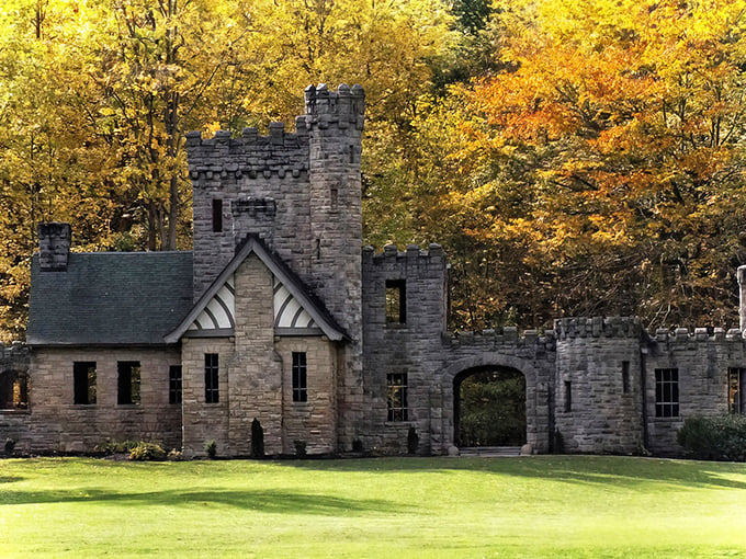 Forest ruins stand like ancient sentinels, where every stone tells stories of bygone eras.