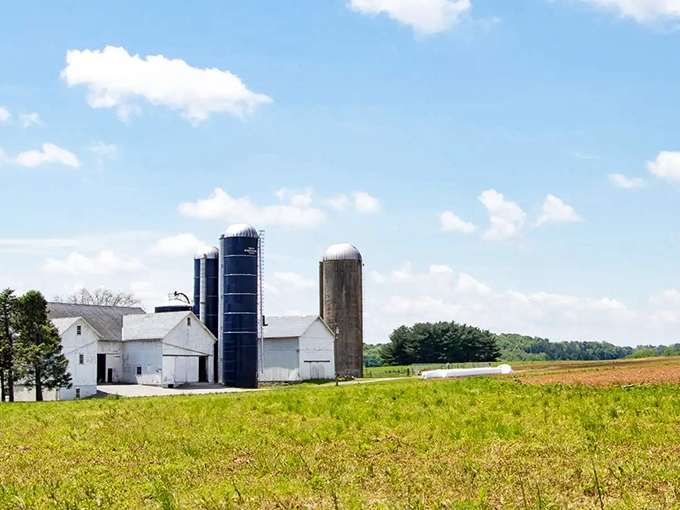 White farmhouses and blue silos dot the countryside like pieces of a perfect pastoral puzzle.